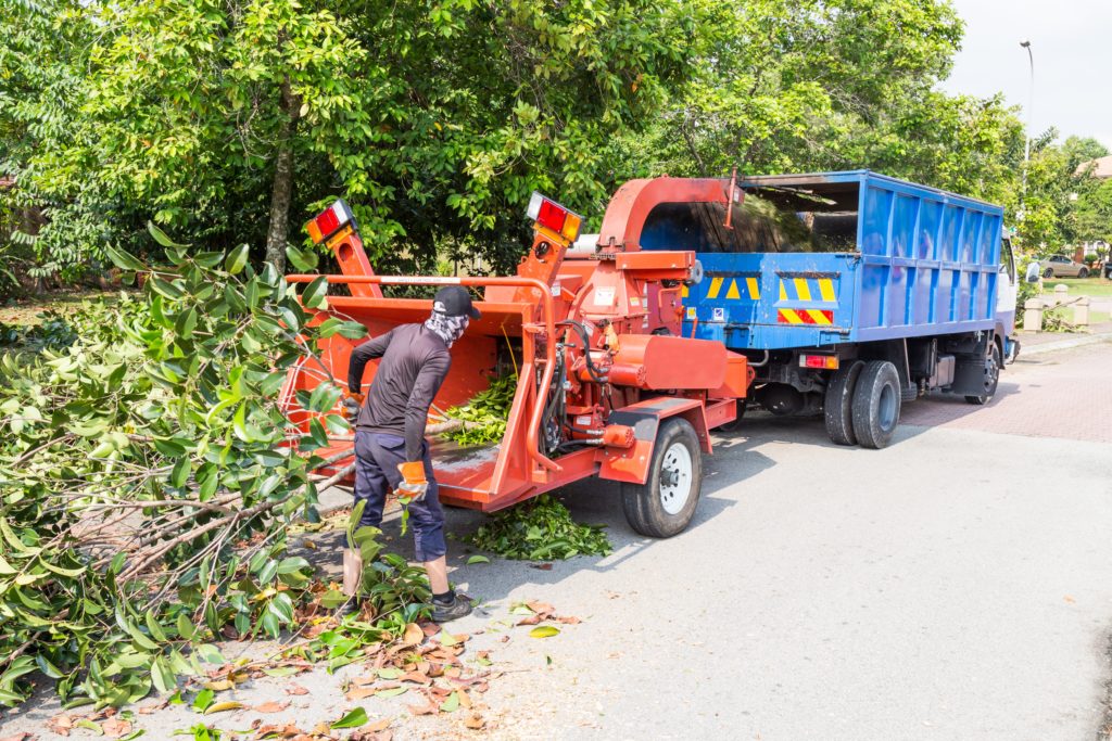 Gallery - Timber TEKS Tree Service